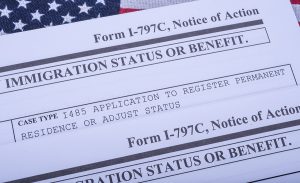 USCIS Receipt Notice: Overview + How Long It Takes